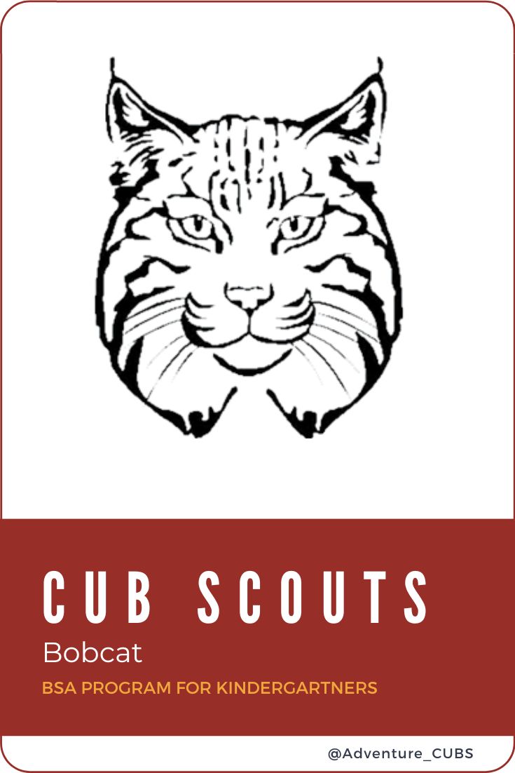 Bobcat Requirements | Welcome to Cub Scouts - Adventure CUBS