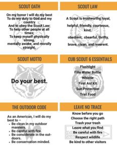 Bobcat Requirements | Welcome to Cub Scouts - Adventure CUBS