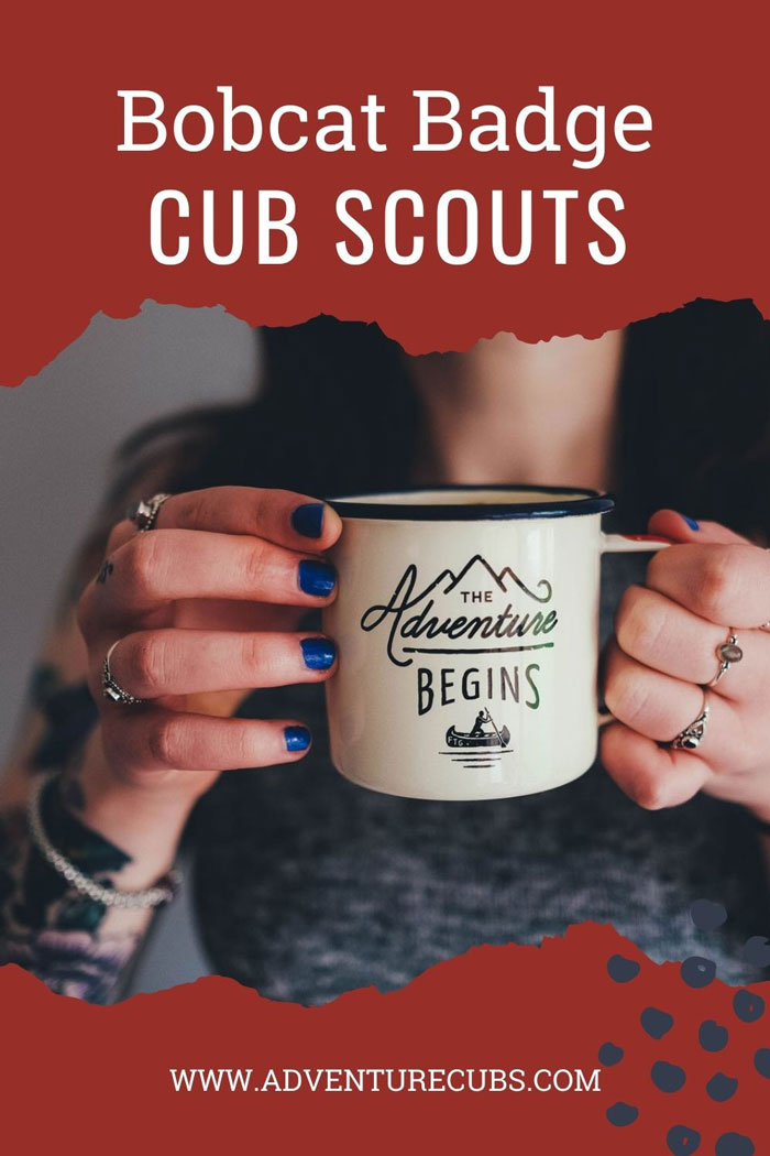 Bobcat Requirements | Welcome to Cub Scouts - Adventure CUBS